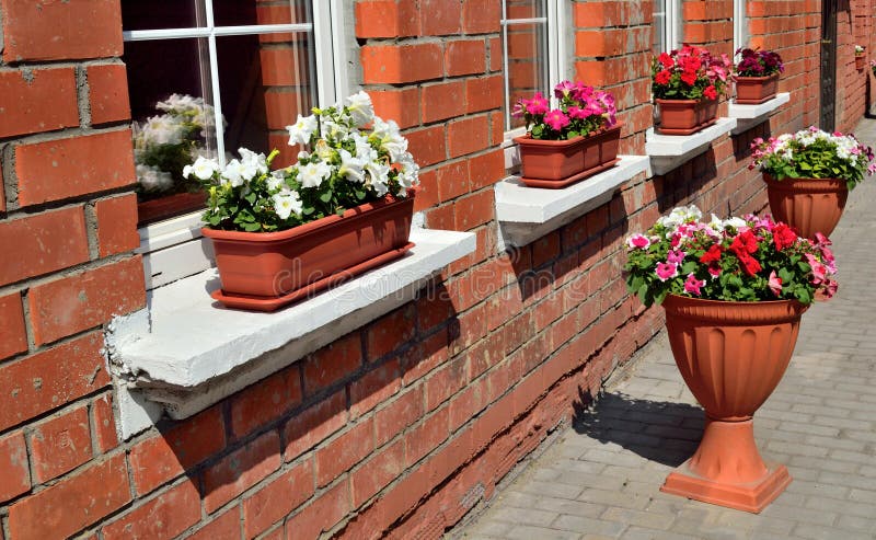 Window Decoration with Flowers Stock Image - Image of floor, street ...