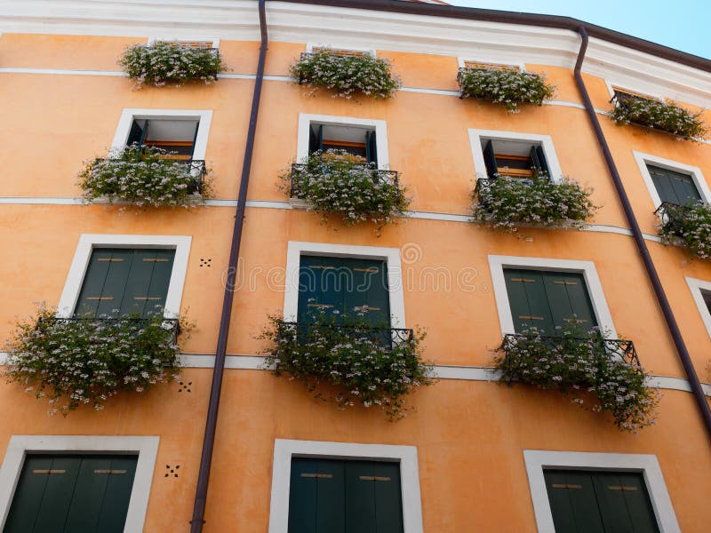 Window and Doors of the Old City Building. Italy Vicenza Stock Image ...