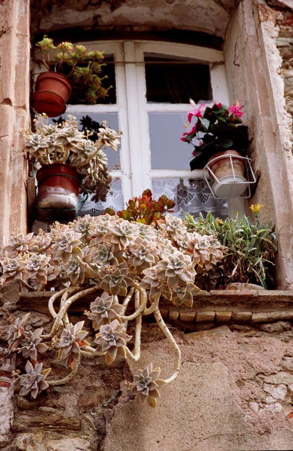 Window Dressing Picture. Image: 1054946