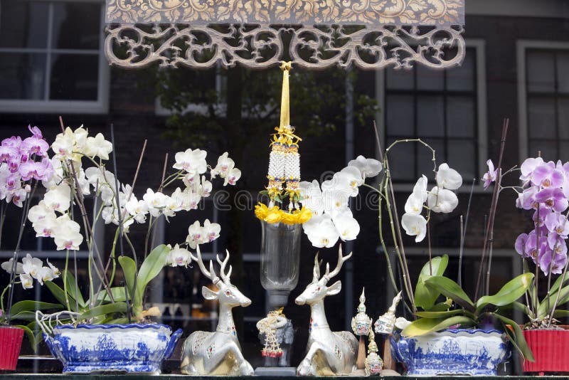 Window dressing stock photo. Image of glass, designer - 23896560