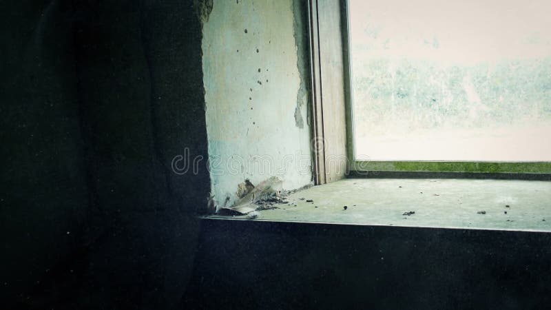 Dust Swirls Around Window in Old Building Stock Video - Video of pane ...