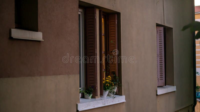 Window Edge of a House and Its Flowering Plants Stock Photo - Image of ...