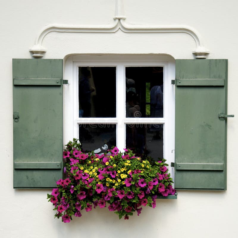 Windows with flowers stock photo. Image of flowers, ocher - 1580600