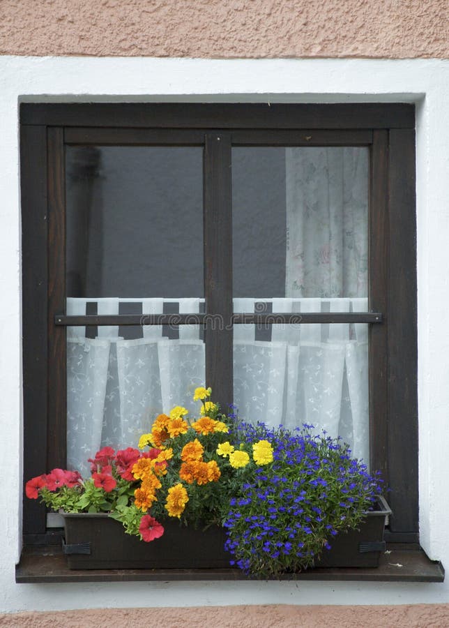 White Window Frame and Roses Stock Photo - Image of house, glass: 5962804