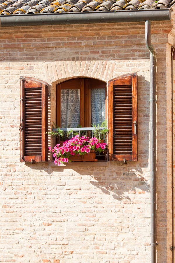 Window with flower stock photo. Image of cottage, ornamental - 24784712