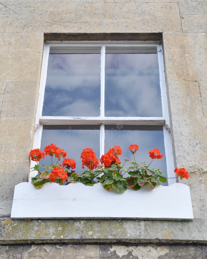 Window Flower Box stock photo. Image of colourful, flat - 14601814