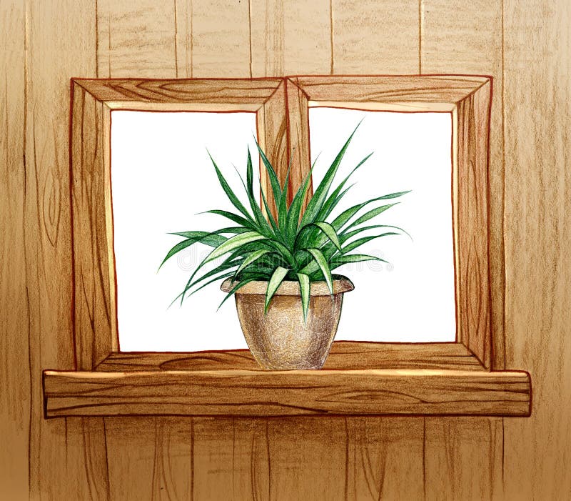 Window with flower pots stock illustration. Illustration of bunch ...