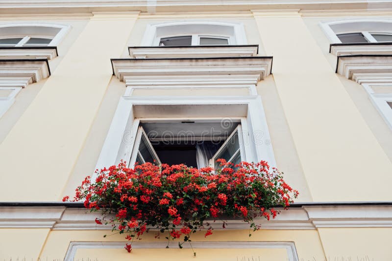 Window and Flowerbox. Window Decorated with Red Geranium Flowers Stock ...
