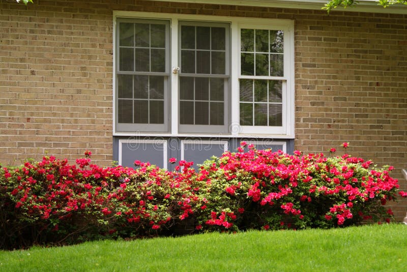 Window and flowers stock image. Image of spring, yard - 10656805
