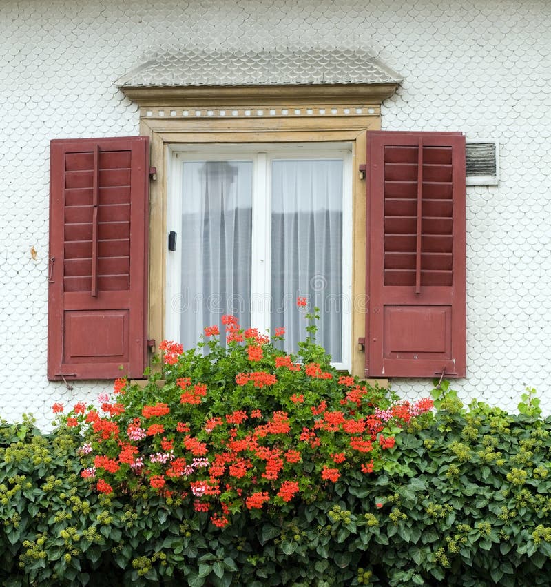 Window and flowers stock image. Image of decoration, blinds - 11450461