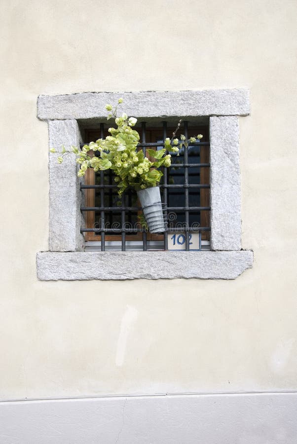 Window with flowers stock image. Image of facade, grunge - 26710061