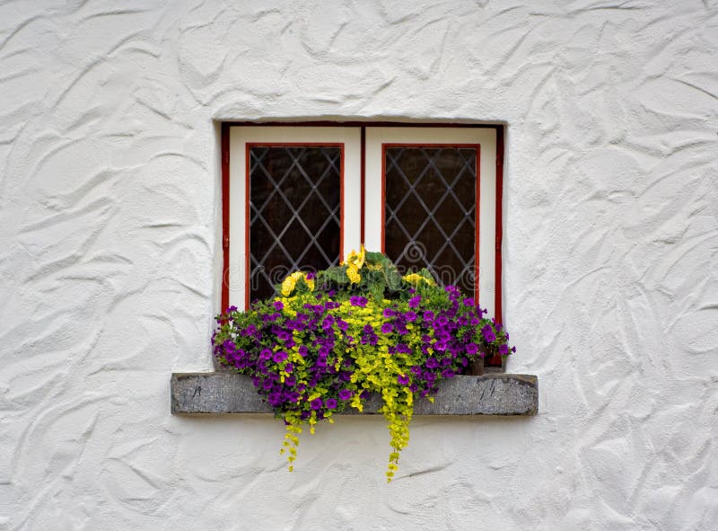 Window and Flowers stock photo. Image of decorations, buildings - 5763316