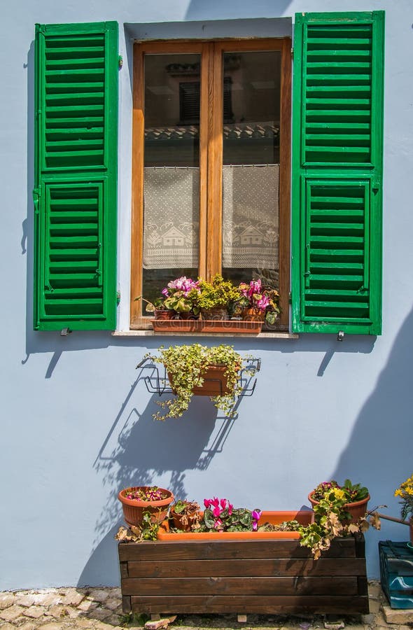 Window and flowers stock image. Image of white, windowsill - 29828869