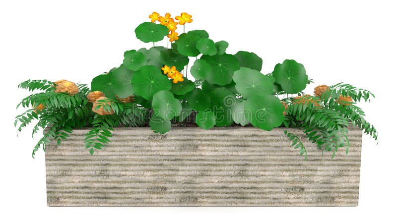 Window flowers in the box stock illustration. Illustration of building ...