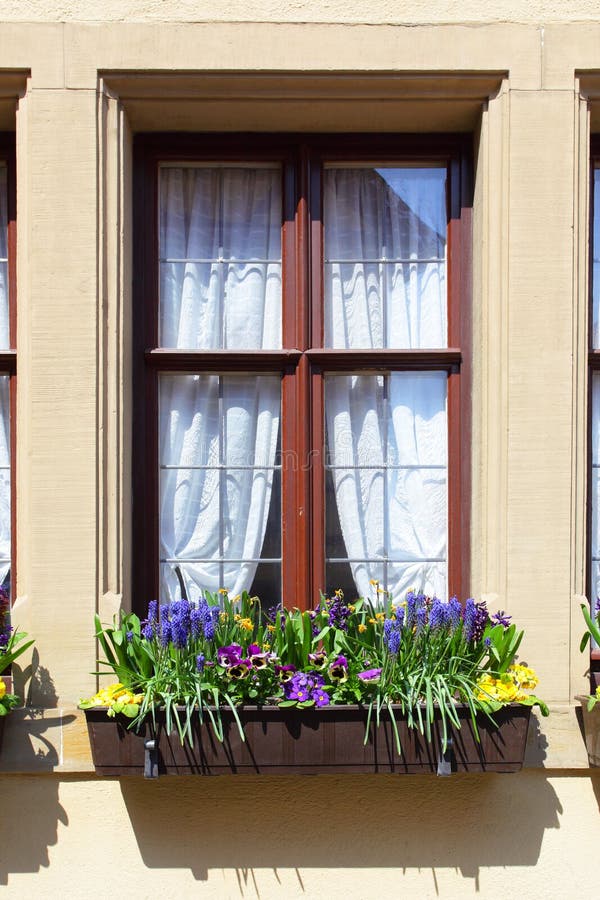 Window with flowers stock image. Image of cosiness, decoration - 30972179