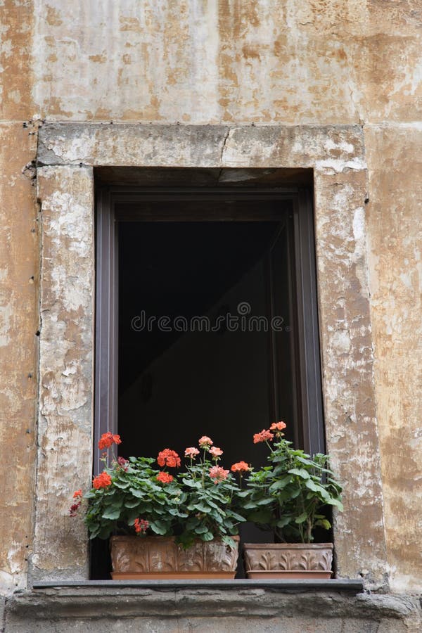 Window with Flowers in Rome, Italy. Stock Photo - Image of italy ...