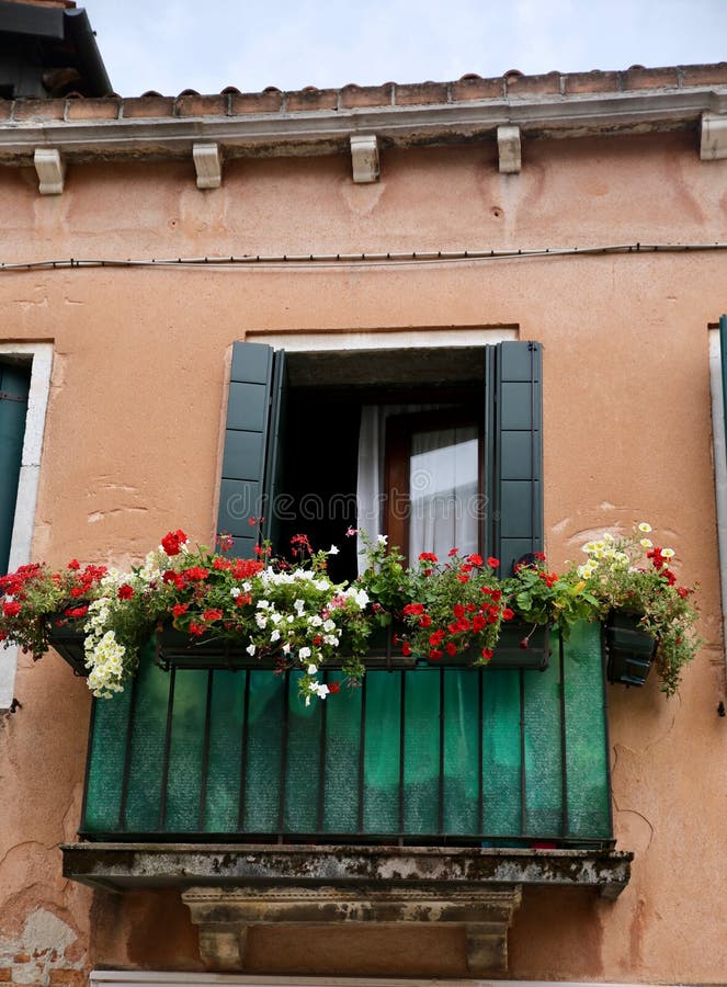 Window flowers in Venice stock image. Image of shutters - 124224857