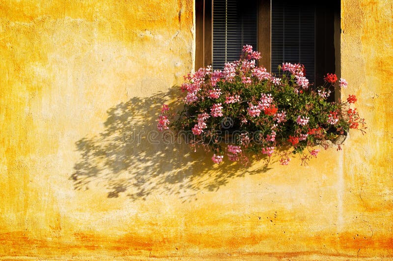 Window with a Flowers Hanging Box Stock Photo - Image of hanging ...
