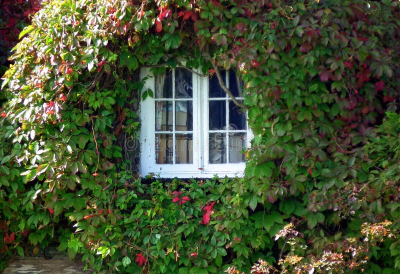 Window, framed stock image. Image of summer, window, glazed - 98151539