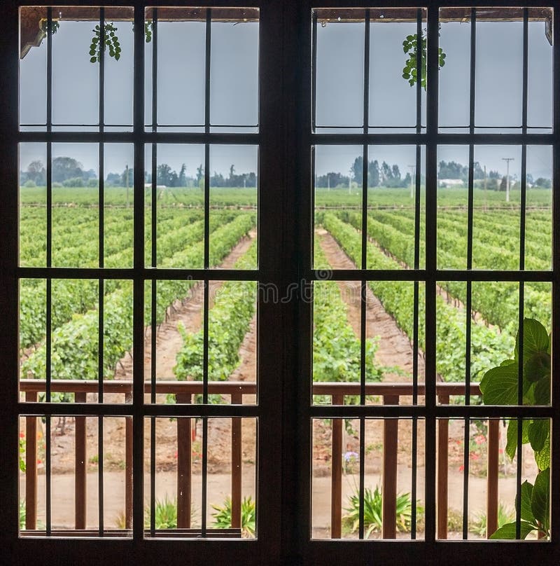3,486 Window Vineyard Stock Photos - Free & Royalty-Free Stock Photos ...