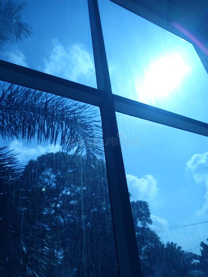 Window Glass with Tree and Sun View Outside Stock Image - Image of ...