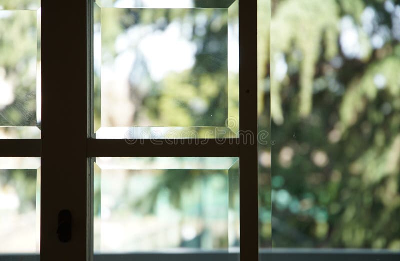 Window glass stock image. Image of tree, showing, garden - 211320083