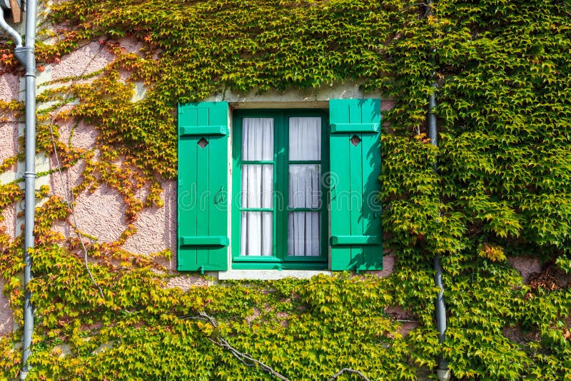 Window on the Green Wall of the House Stock Photo - Image of greened ...