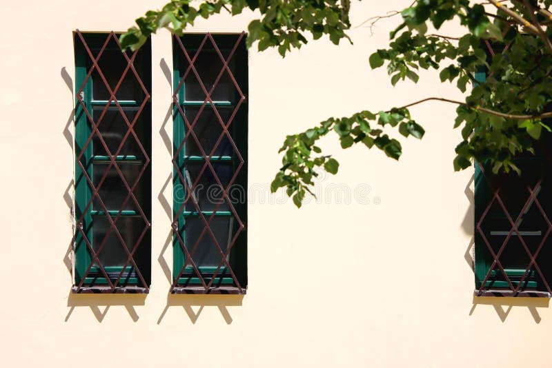 Window and Tree Branch stock image. Image of close, plant - 269236533