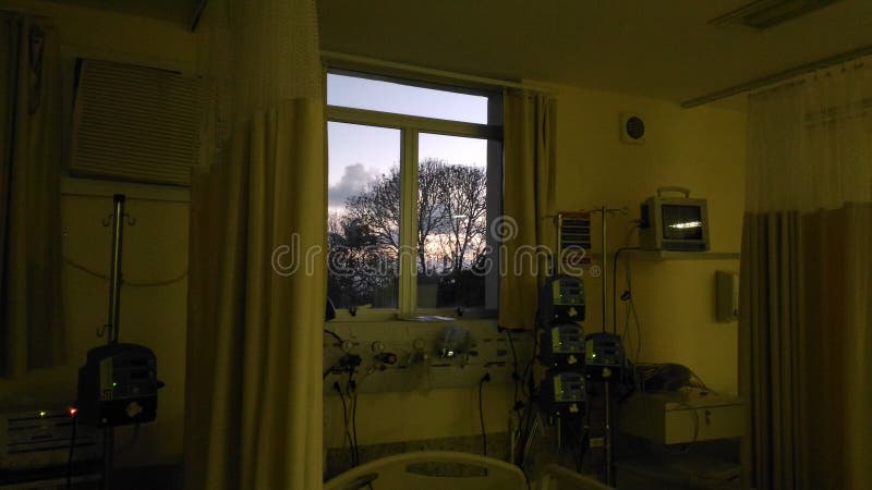 Window stock photo. Image of hospital, tree, light, window - 92828864