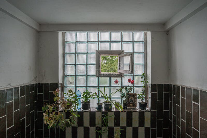 Window with Houseplants in Interior of a Dark Staircase Case of an Old ...