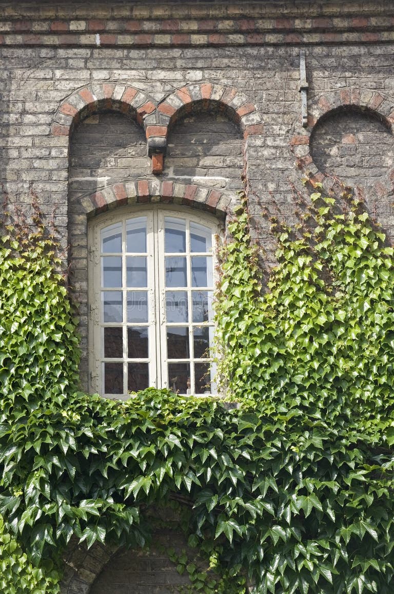 4,362 Brick Window Ivy Stock Photos - Free & Royalty-Free Stock Photos ...