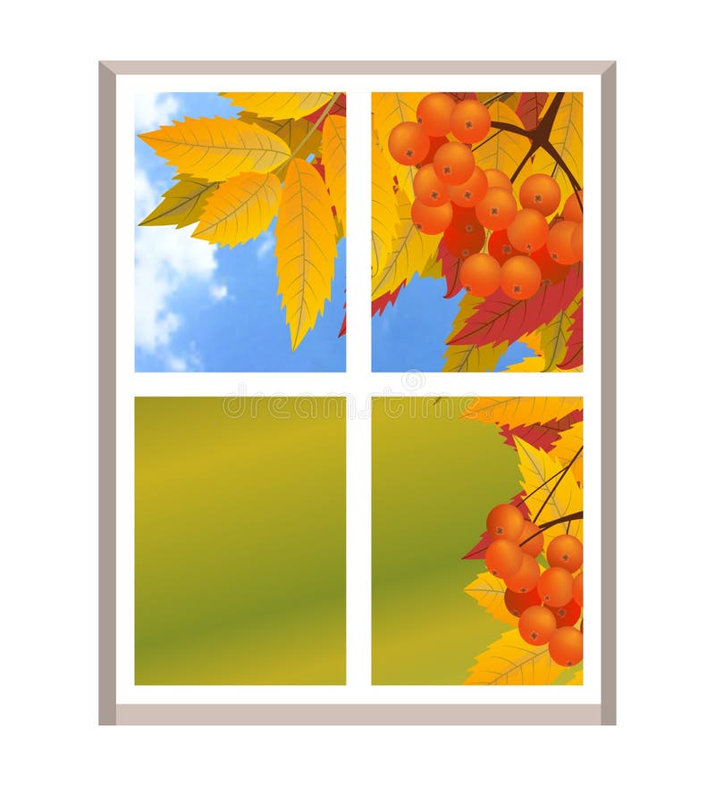 Window with a Landscape Autumn View, Branch of Rowan. Fall ...