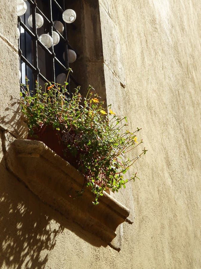 Window with a Lattice and a Flower Bed Stock Photo - Image of antique ...