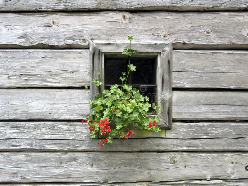 Window of a Log House Decorated with Flowers Stock Photo - Image of ...