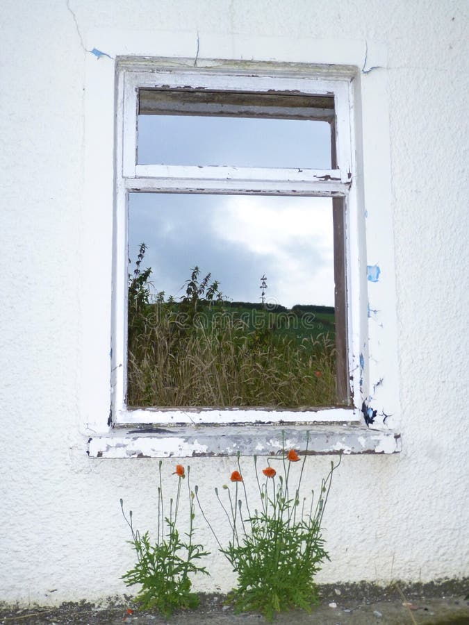 Window, Looking Out? or in? Stock Image - Image of walls, wall: 43708723