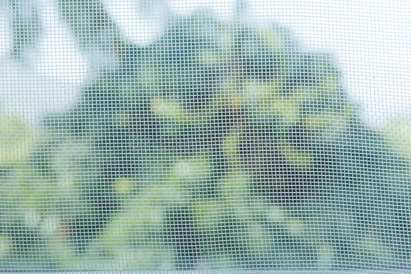 Window Mosquito Wire Screen Stock Image - Image of mesh, home: 94172955