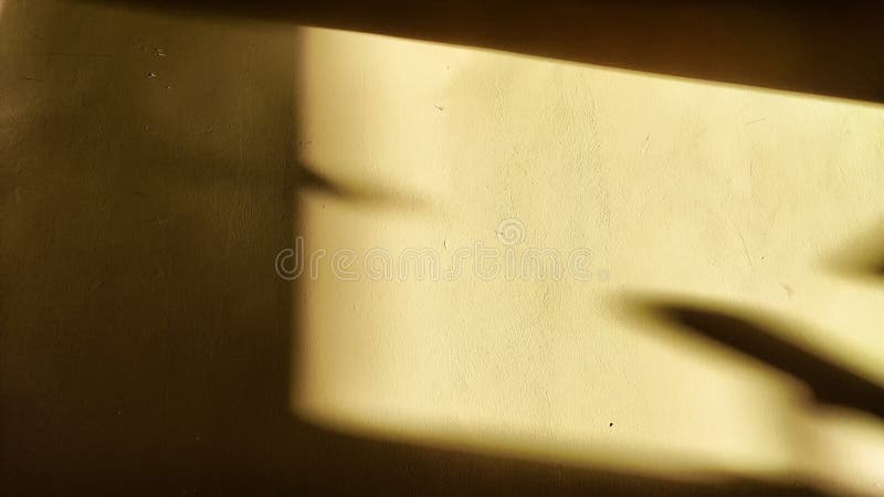 Window Natural Shadow Overlay Blurred Effect on Yellow Texture ...