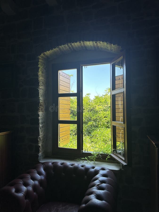 A Window into Nature. a Window into the Future. Trees and Shrubs Stock ...