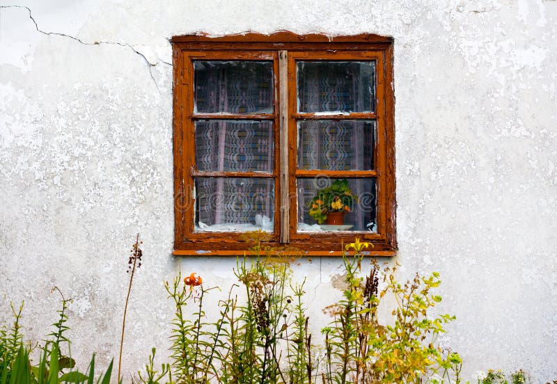 Window Old Garden View Wall Wild Stock Photo - Image of wooden, green ...