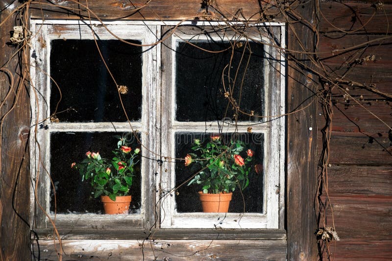 Window of an old log cabin stock photo. Image of closeup - 243787402