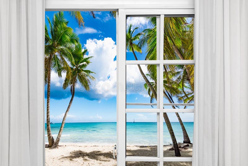 Window open palm beach stock image. Image of beach, access - 101405583