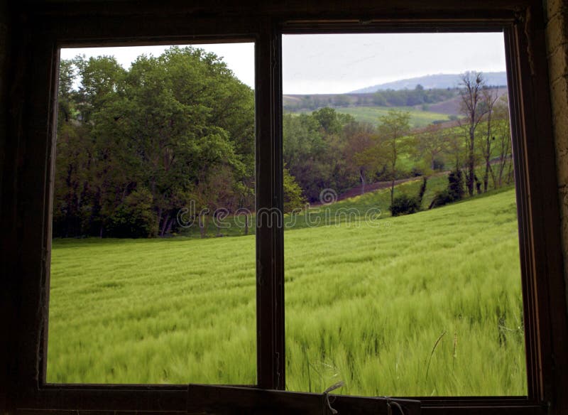 Window Overlooking the Cornfield. Countryside Stock Photo - Image of ...