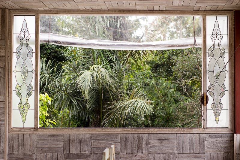 Tropical Palm Trees View From Wooden Window Stock Photo - Image of ...