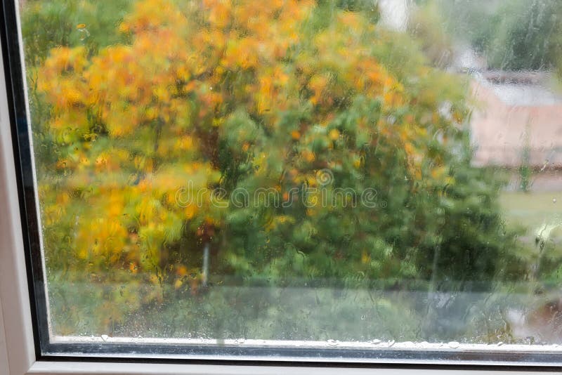 Window Pane during a Rain, Blurred Trees through the Glass Stock Photo ...