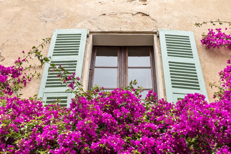 Window in Provence stock photo. Image of culture, flower - 180822414