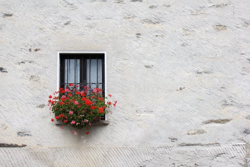 Window with red geranium stock image. Image of lavertezzo - 91640465