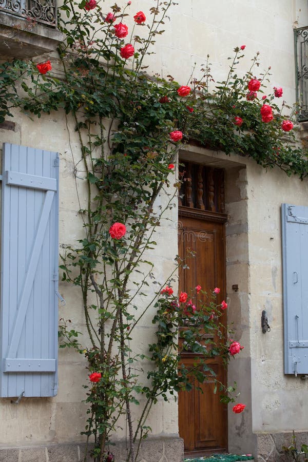 Window with red roses stock image. Image of architecture - 32333561