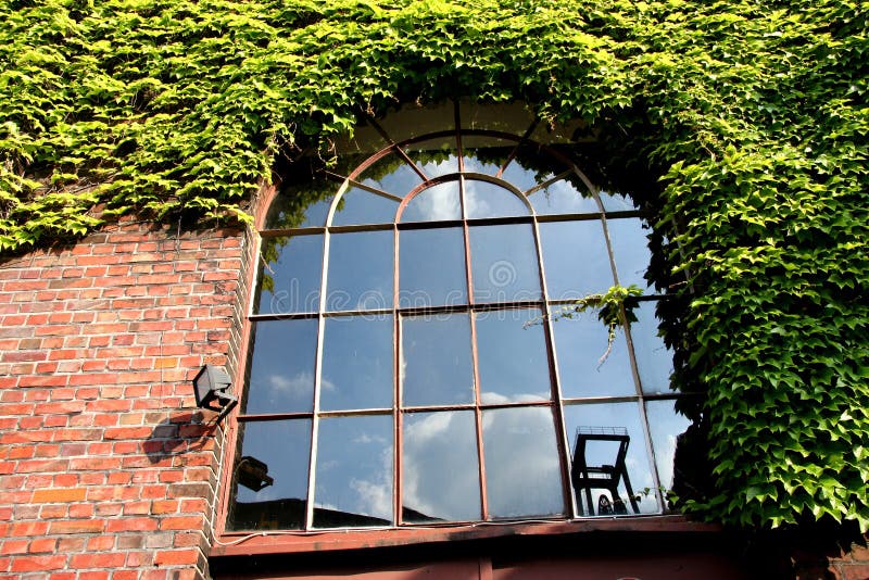 Window with Reflection stock photo. Image of antique, sash - 305946