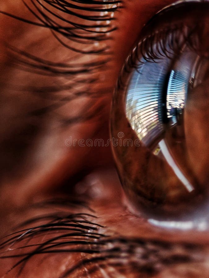 1,471 Human Nose Organ Stock Photos - Free & Royalty-Free Stock Photos ...