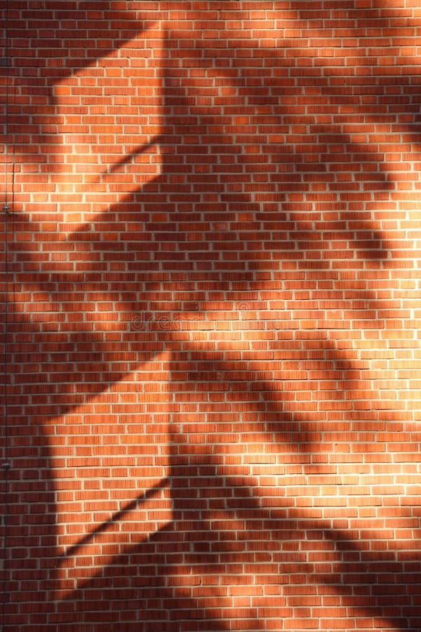 Window Reflections on Brick Wall Stock Photo - Image of reflection ...